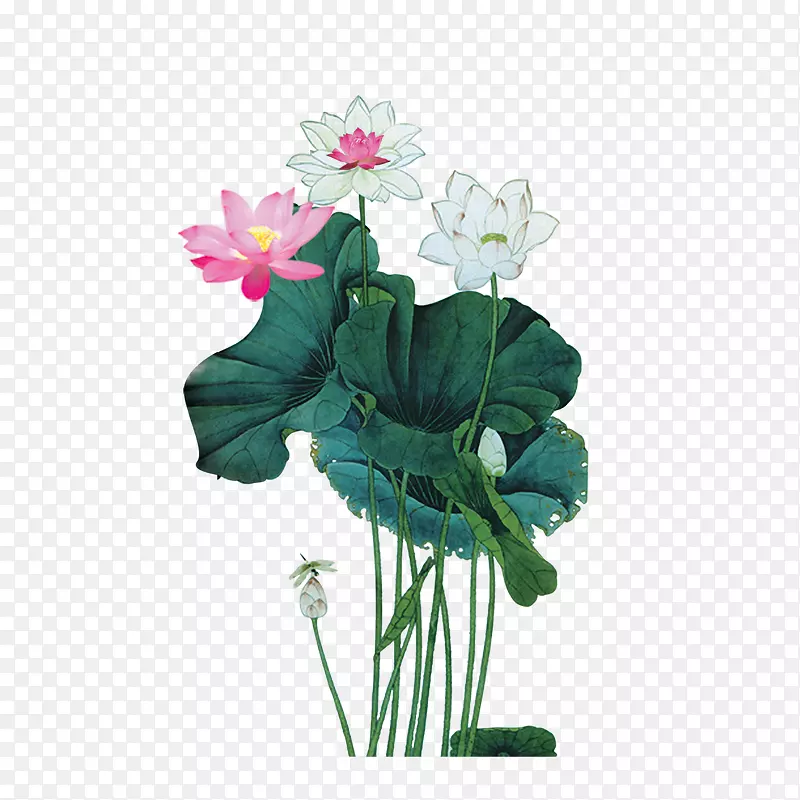 水墨画画水彩画莲花图案PNG图片素材下载_图片编号507584-PNG素材网