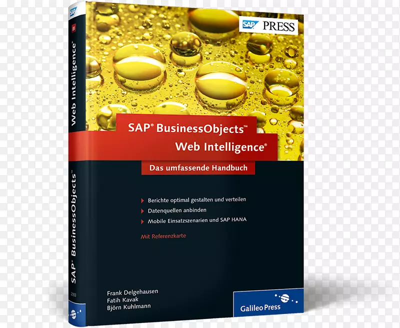 SAP BusinessObjects Web Intelligence 综合指南PNG图片素材下载_图片编号5325378-PNG素材网