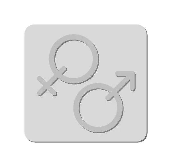 PNG 5642704 PNG png-5642704-png