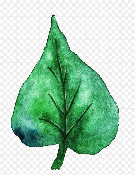 叶子 卡通 互联网PNG图片素材下载_图片编号6783698-PNG素材网