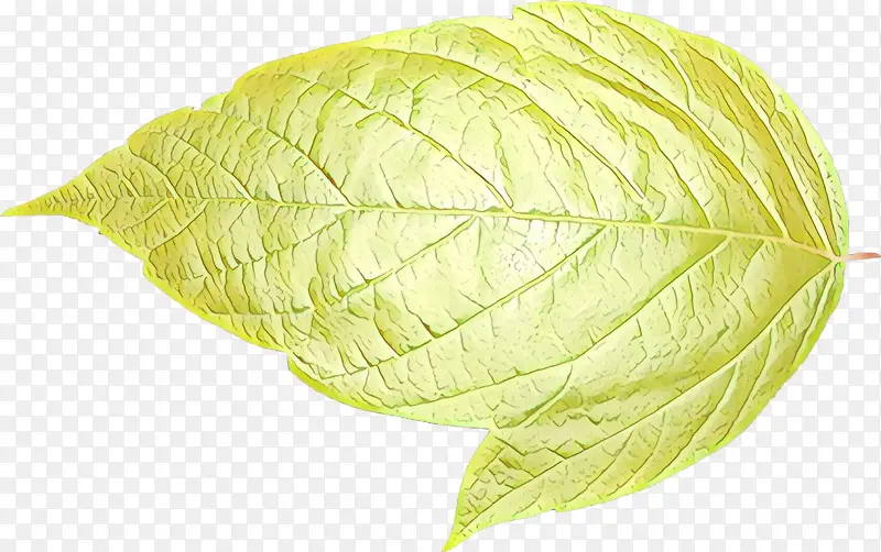 卡通 叶子 植物PNG图片素材下载_图片编号6904139-PNG素材网