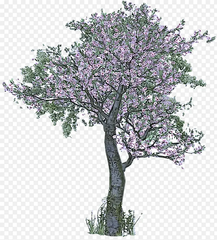 泰卢固语日 泰卢固语 马拉地语png图片素材下载图片编号7078501 Png素材网