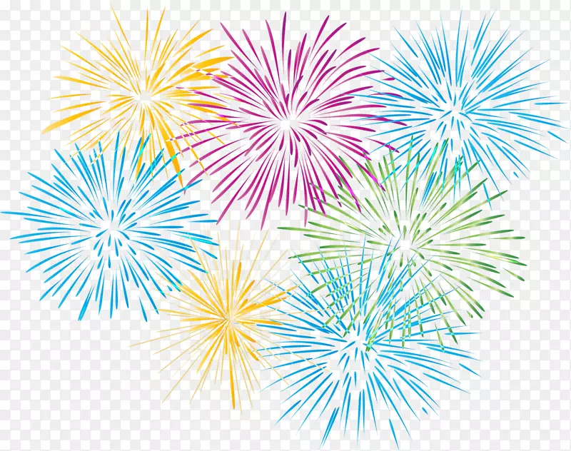 春节美丽多彩烟花PNG图片素材下载_图片编号7301081-PNG素材网
