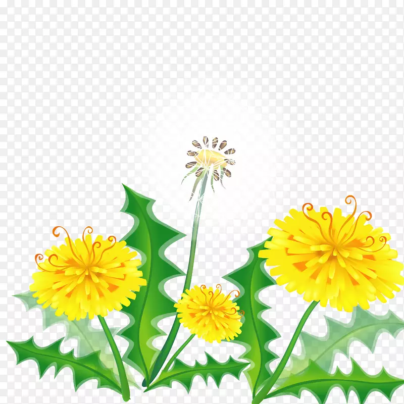 手绘蒲公英矢量素材PNG图片素材下载_图片编号7580832-PNG素材网