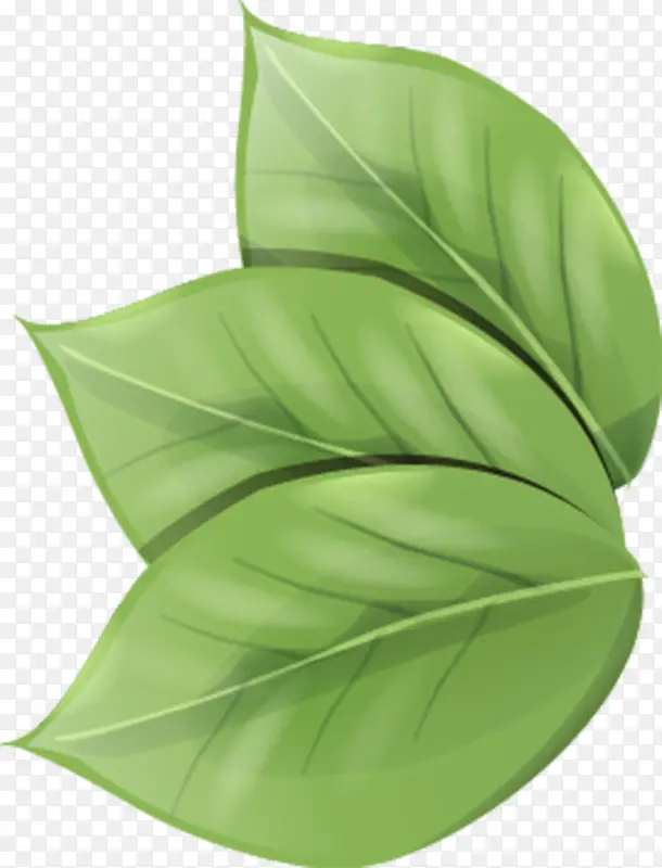 绿色的卡通大片叶子PNG图片素材下载_图片编号7668808-PNG素材网