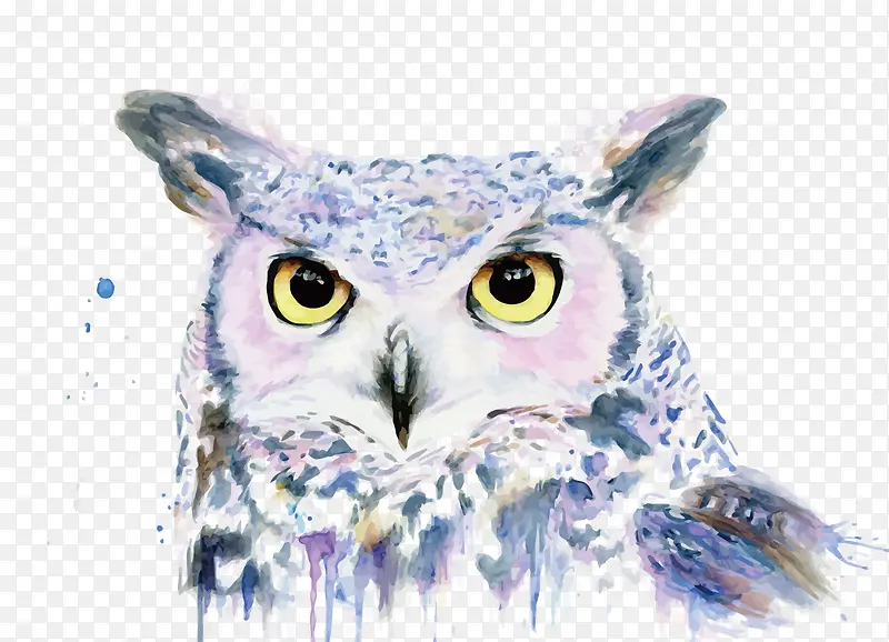 矢量猫头鹰PNG图片素材下载_图片编号7789152-PNG素材网