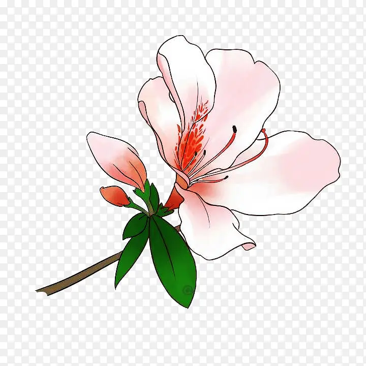 卡通花映山红图片素材PNG图片素材下载_图片编号8085953-PNG素材网