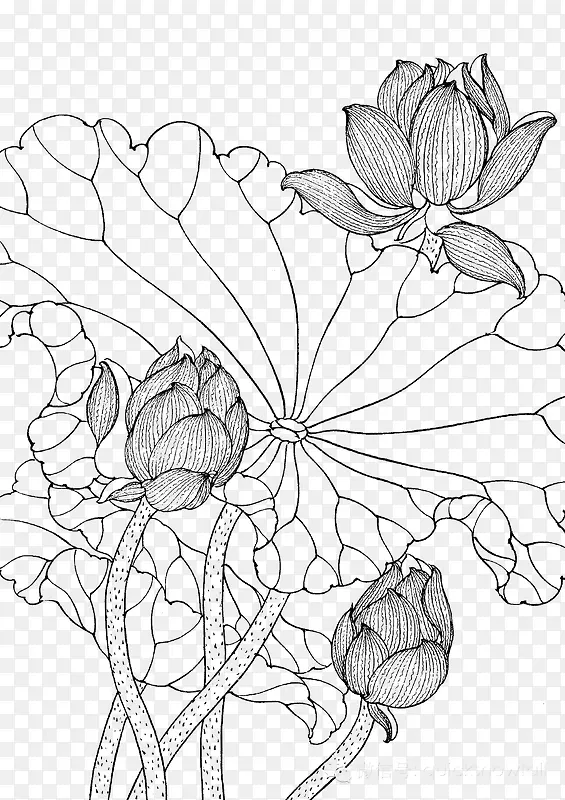 手绘莲花儿图案pngPNG图片素材下载_图片编号8302847-PNG素材网