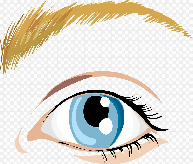 卡通眼睛矢量图PNG图片素材下载_图片编号8338446-PNG素材网