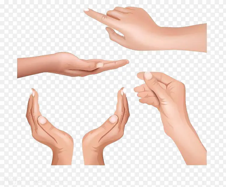 各种写实的动画手PNG图片素材下载_图片编号8380550-PNG素材网