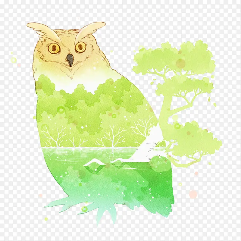 猫头鹰PNG图片素材下载_图片编号8440408-PNG素材网