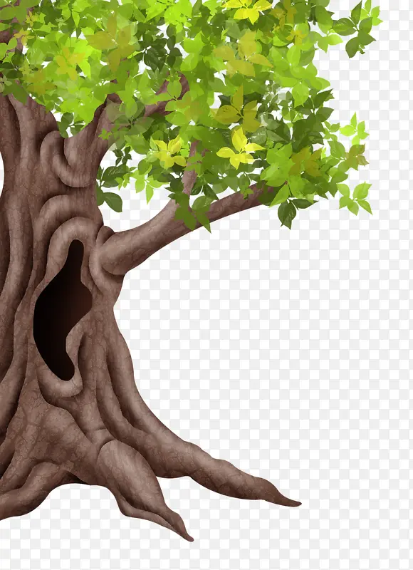 手绘古老大树PNG图片素材下载_图片编号8712891-PNG素材网