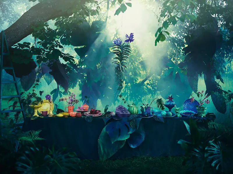 森林里的水果晚宴海报背景PNG图片素材下载_图片编号8961857-PNG素材网