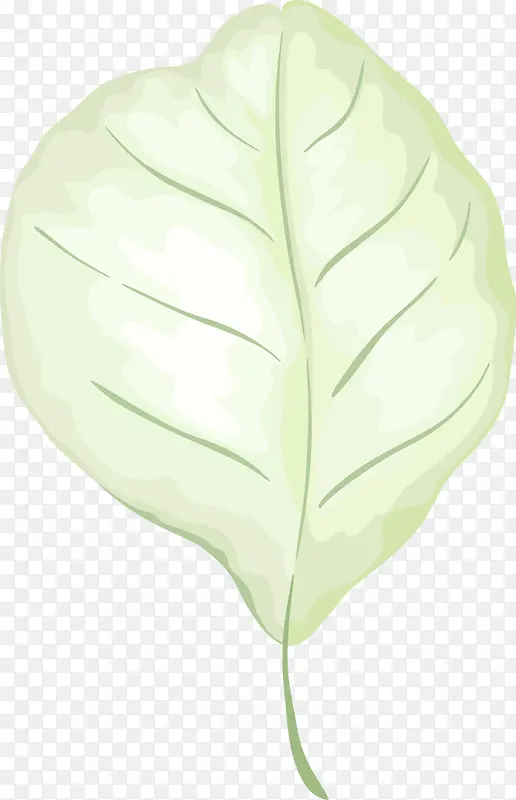 卡通大叶子PNG图片素材下载_图片编号9041262-PNG素材网