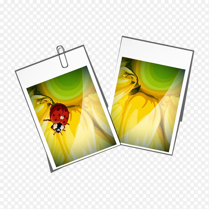 卡通照片PNG图片素材下载_图片编号9874212-PNG素材网