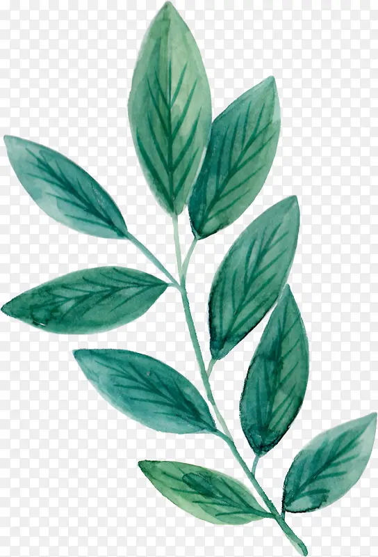 水彩卡通绿色叶子PNG图片素材下载_图片编号10004252-PNG素材网