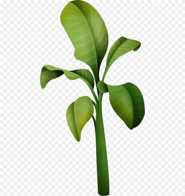 卡通叶子PNG图片素材下载_图片编号10015243-PNG素材网