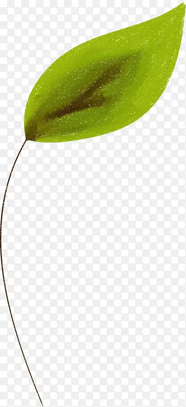 绿色卡通叶子PNG图片素材下载_图片编号10352739-PNG素材网