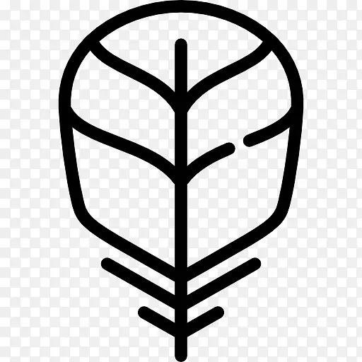 羽毛图标PNG图片素材下载_图片编号10470271-PNG素材网