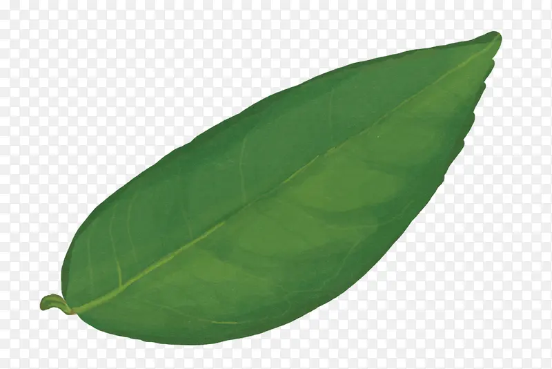 卡通叶子PNG图片素材下载_图片编号10475856-PNG素材网