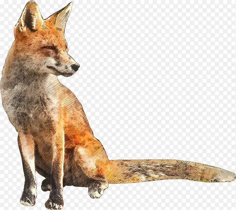 免扣png 素材 手绘 动物 可爱PNG图片素材下载_图片编号10715429-PNG素材网