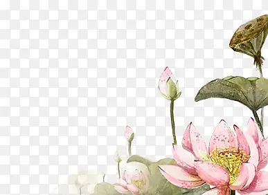 莲花PNG图片素材下载_图片编号10744847-PNG素材网