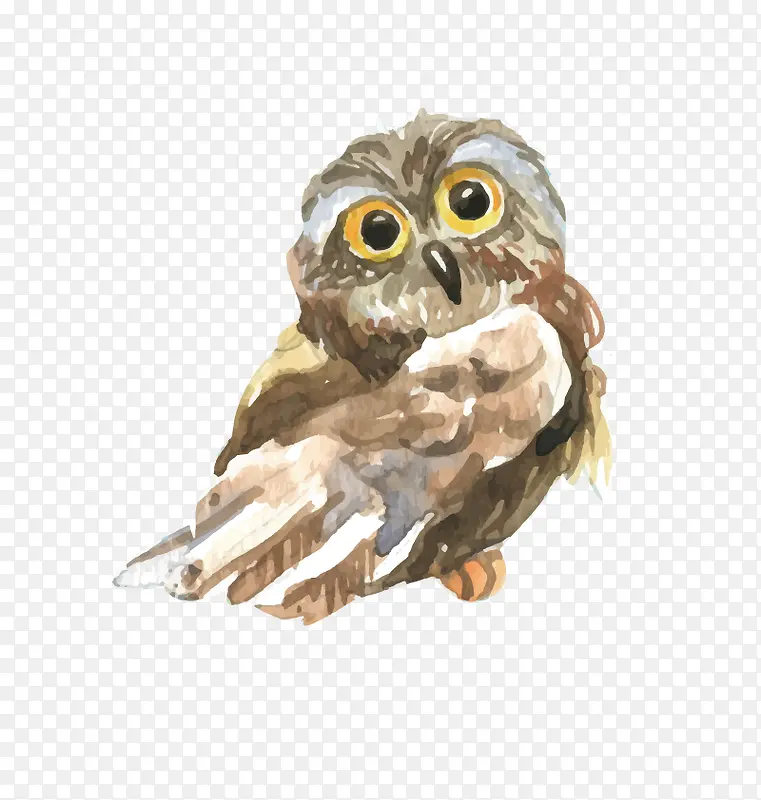 矢量猫头鹰PNG图片素材下载_图片编号10902464-PNG素材网
